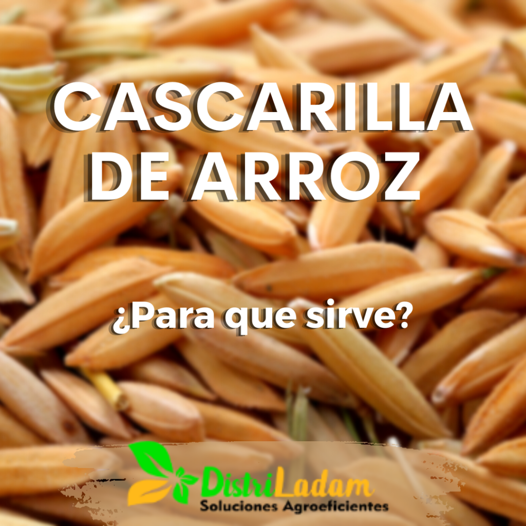 Insumos Orgánicos – Distriladam