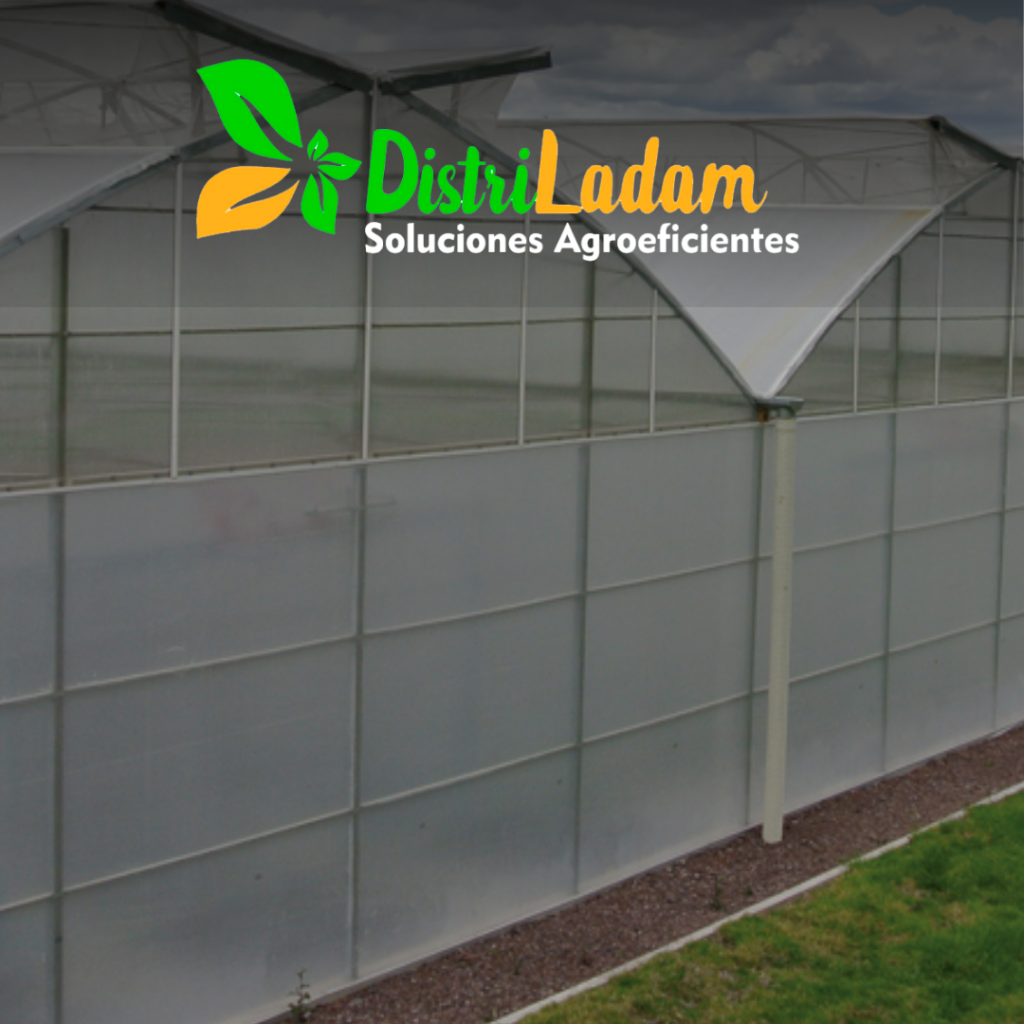 Angeo o Malla Anti-insectos – Distriladam