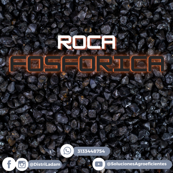 Roca Fosfórica – Distriladam